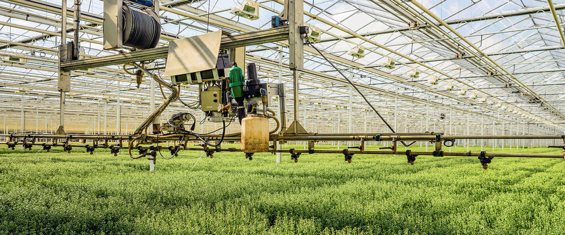 Top Commercial Farming Examples Leading the Way in Sustainability